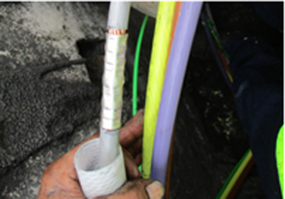 Amstar | World Trade Bridge 2